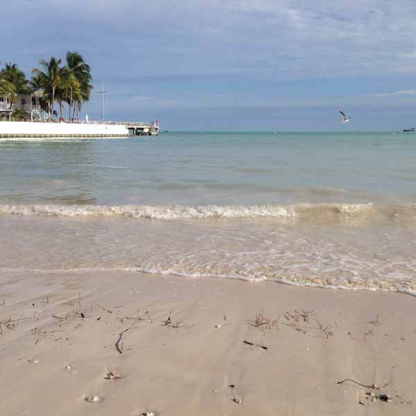 Southernmost Point Key West – Boheme Wild